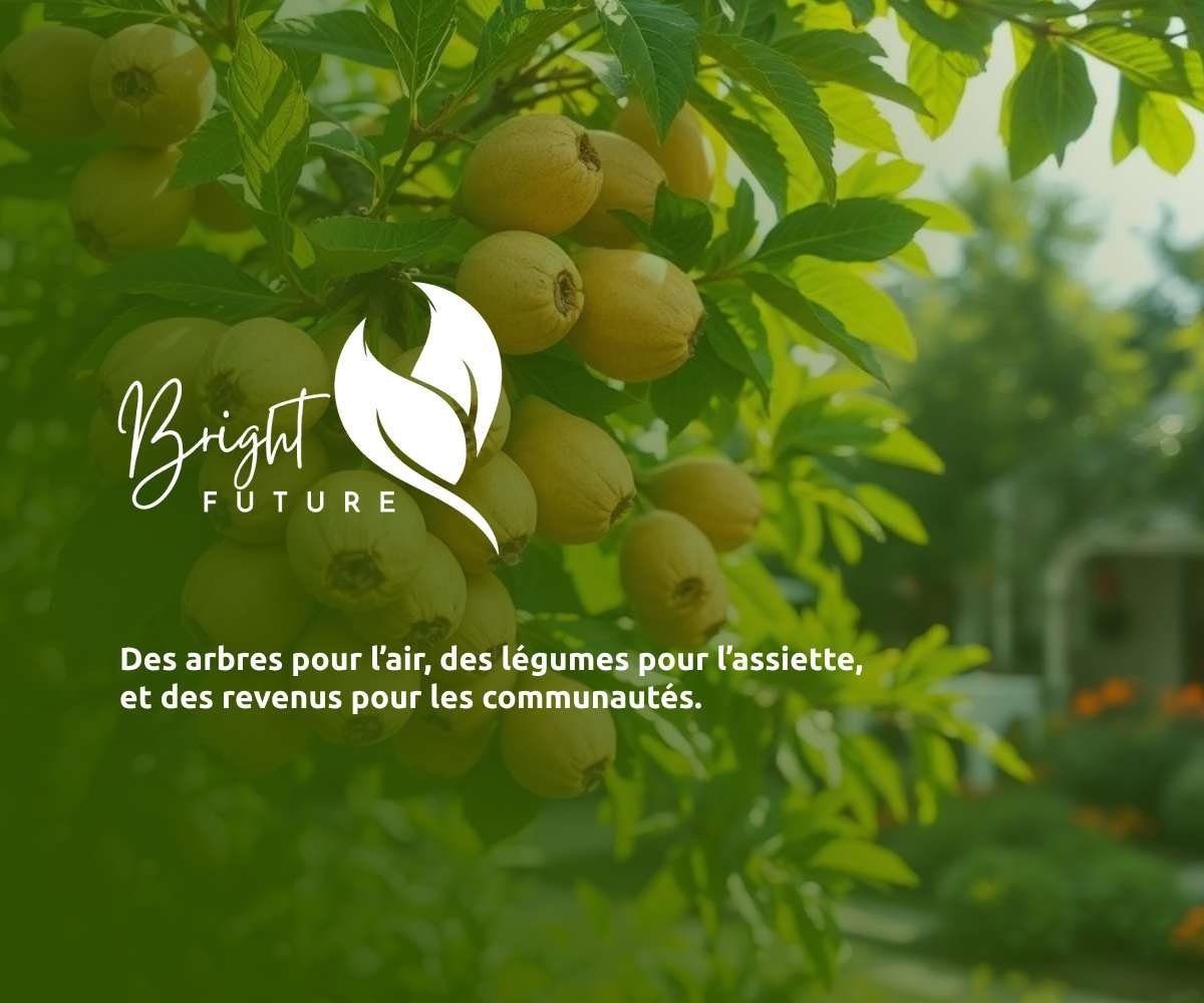 Bienvenu à Bright Future